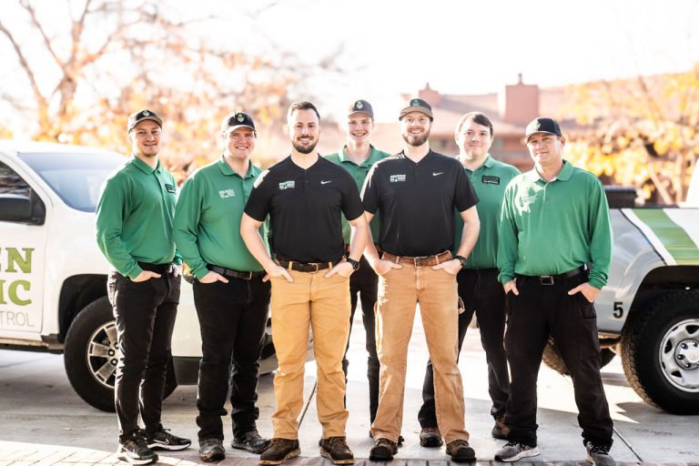 Thank You - Green Magic Pest Control Chandler Arizona